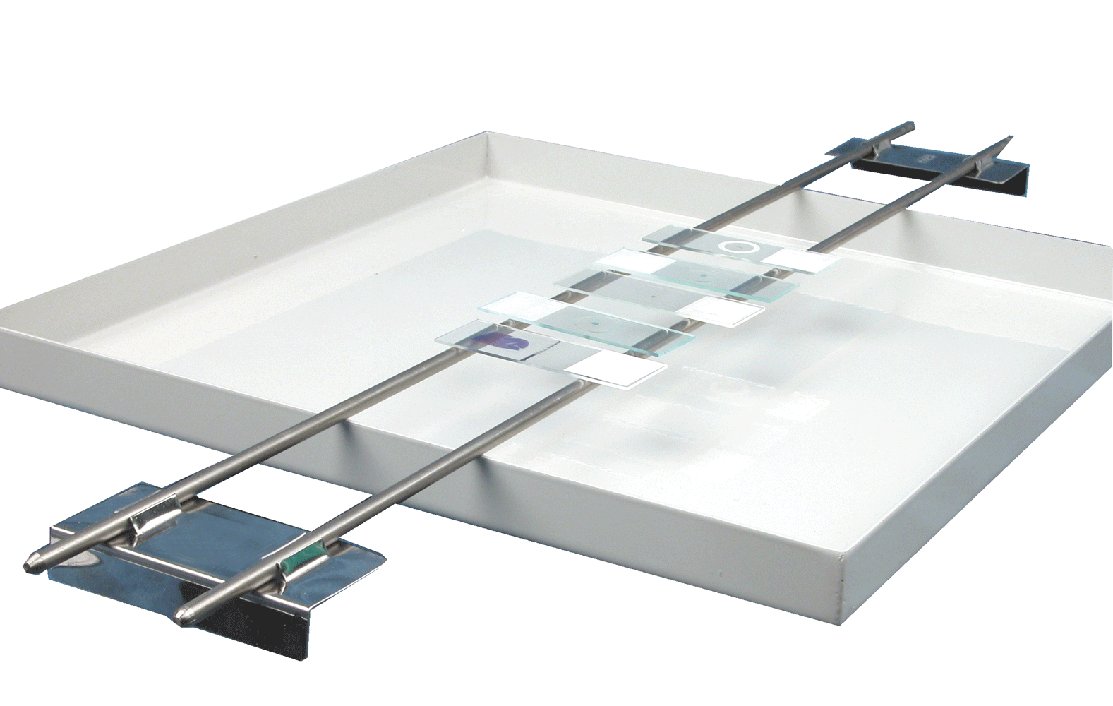 Miscellaneous - Lab Organizers and Accessories - Equipment