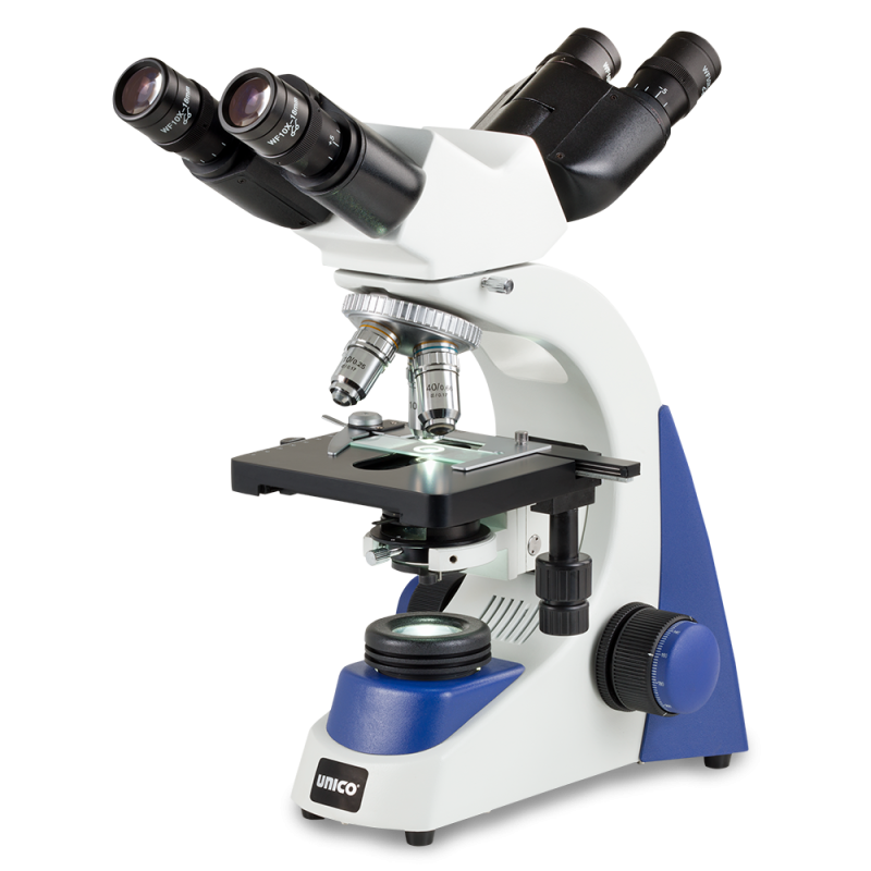 G380 Dual Head Models - G380 - Brightfield Microscopes - Microscope ...