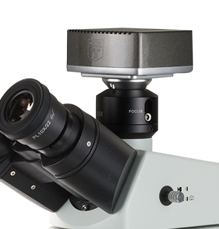 Digital Cameras - Microscopes - Equipment